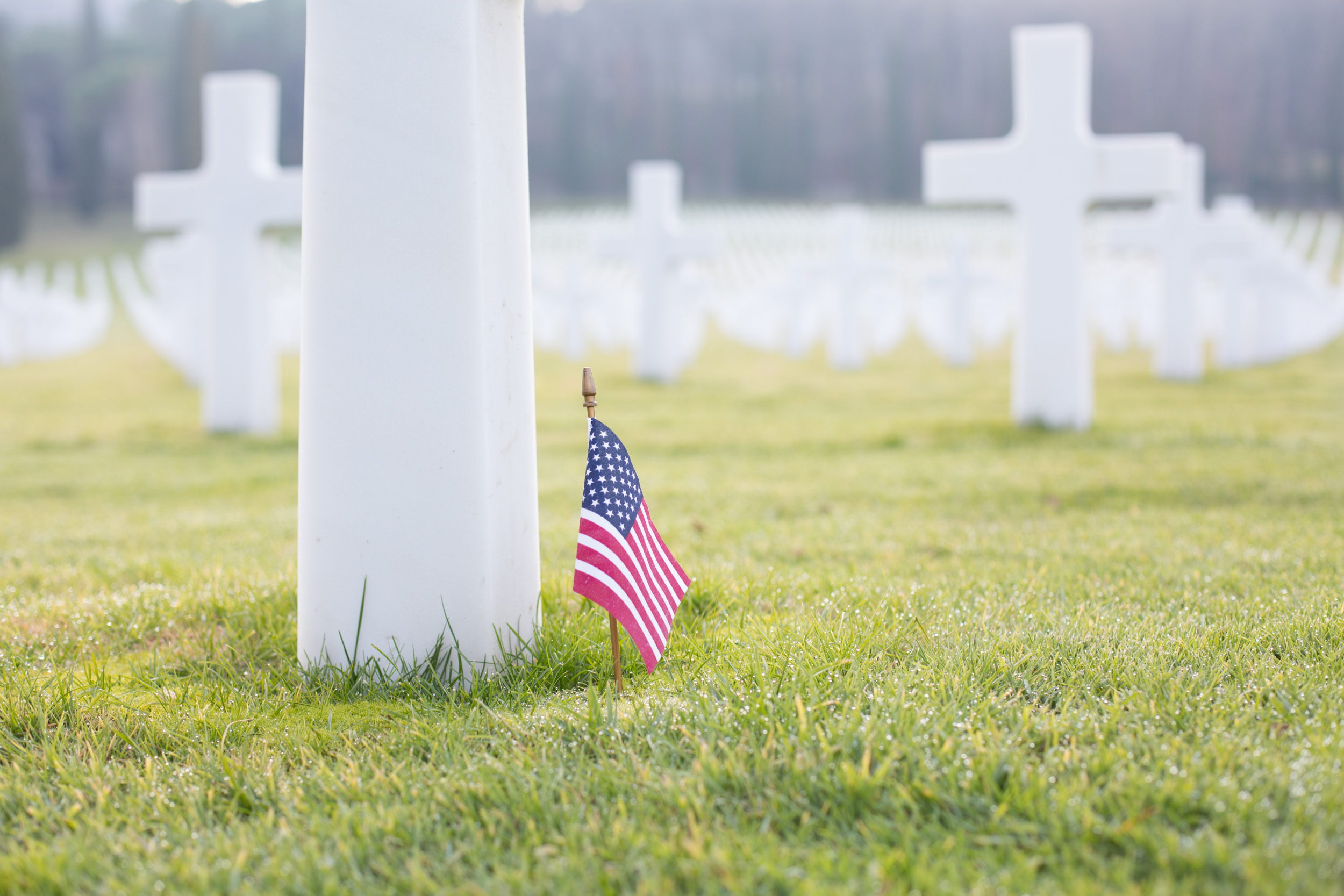 Mudando o foco da sua fotografia - Nathalia Tosto | Coisas que Amamos